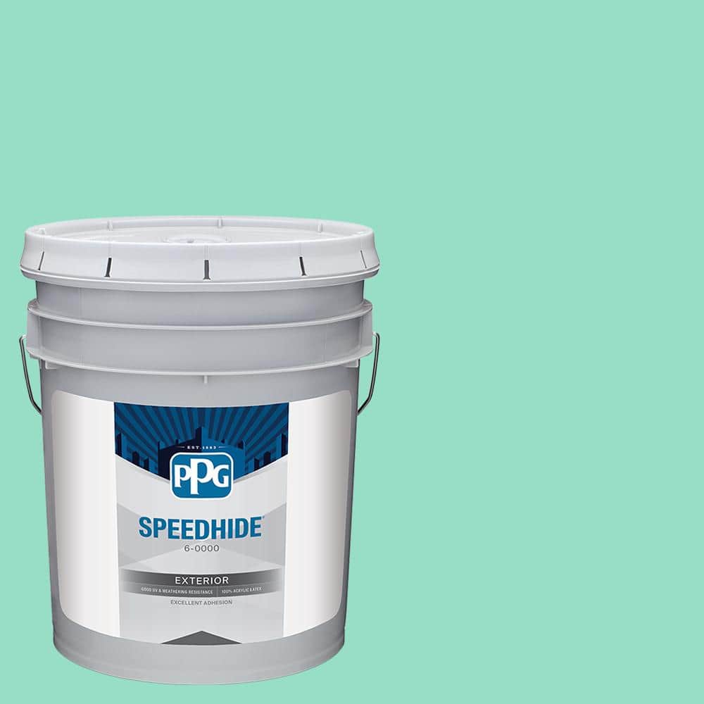 Reviews for SPEEDHIDE 5 gal. Flat Exterior PaintPPG1229-3 Almost Aqua ...