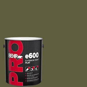 BEHR PRO 5 gal. #PPU9-25 Eastern Bamboo Eggshell Interior Paint PR33305 ...