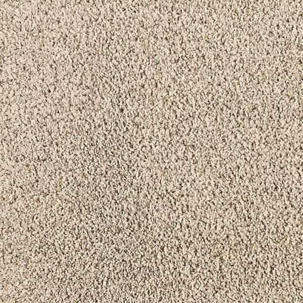 TrafficMaster 8 in. x 8 in. Texture Carpet Sample-Whisk & Whimsy I ...