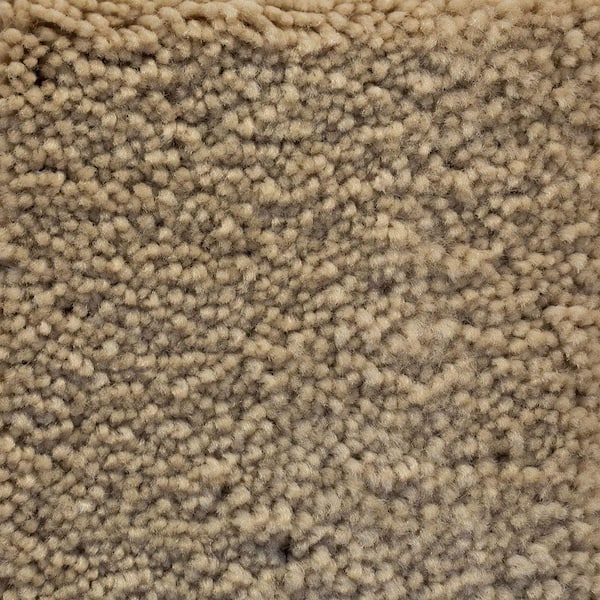 SoftSpring Luxurious II - Color Safari Tan 12 ft. Carpet 55605 - The ...