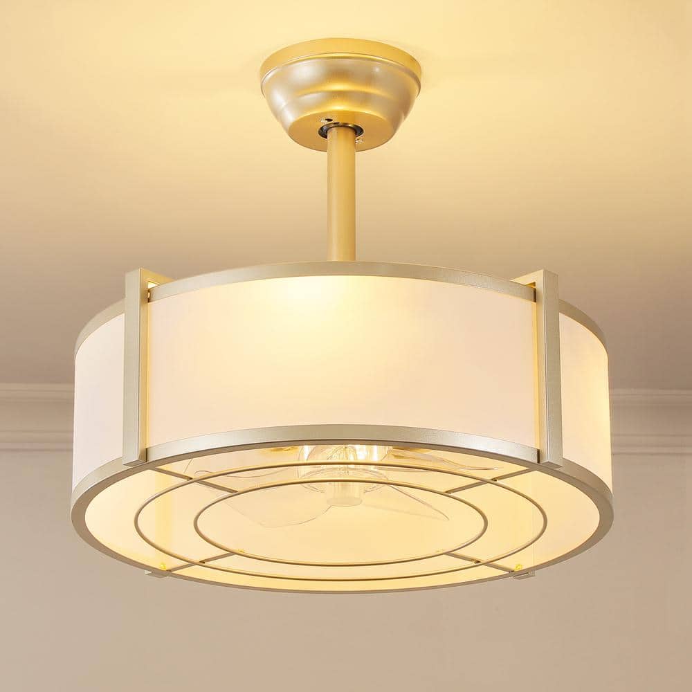 KAISITE 20 in. Indoor White Low Profile Enclosed Acrylic Ceiling Fan ...