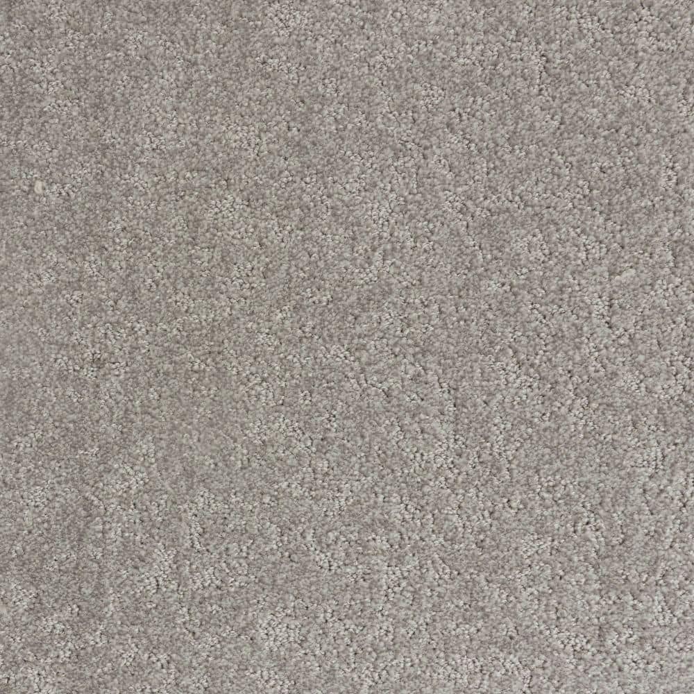 Lifeproof with Petproof Technology 8 in. x 8 in. Pattern Carpet Sample ...
