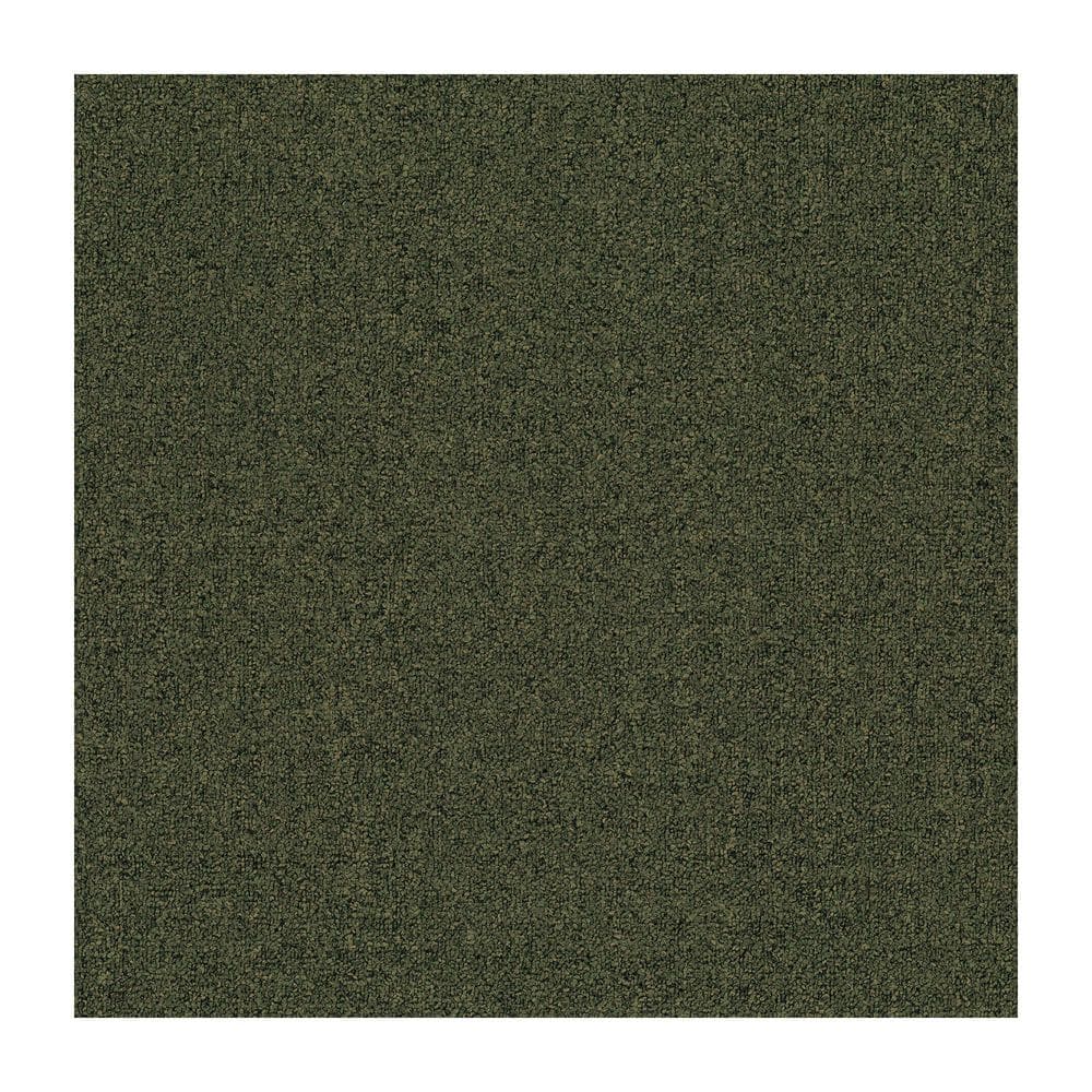 Mohawk 8 in. x 8 in. Textured Loop Carpet Sample - Advance -Color ...
