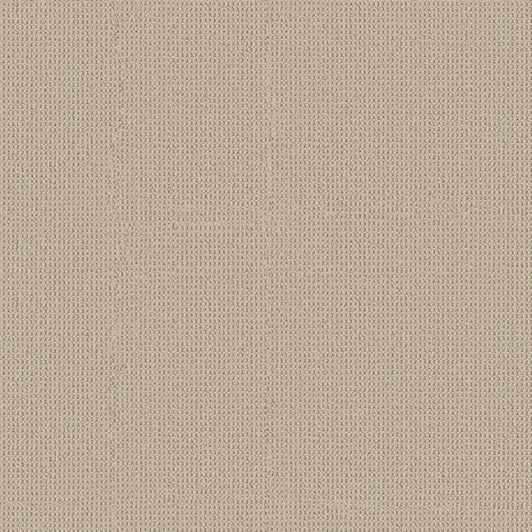 Lifeproof 8 in. x 8 in. Pattern Carpet Sample - Bellridge -Color Cement ...