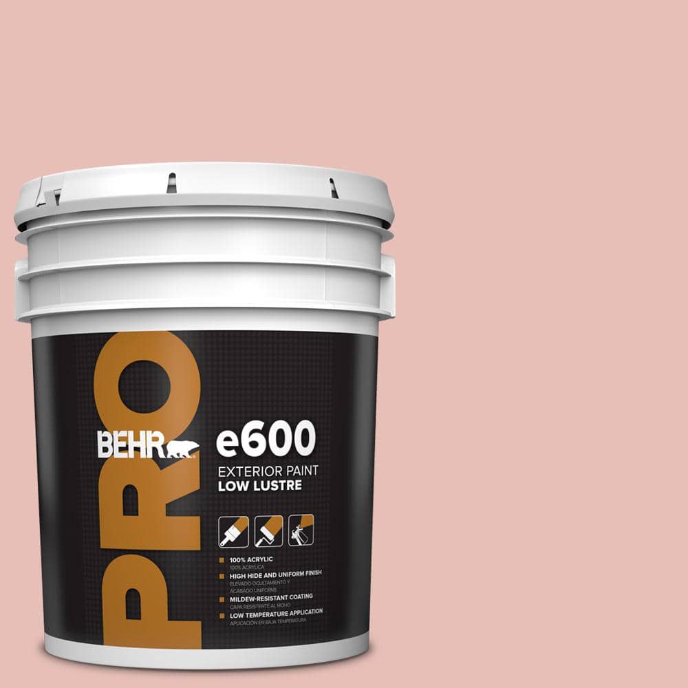 BEHR PRO 5 gal. #T18-01 Positively Pink Low Luster Exterior Paint ...