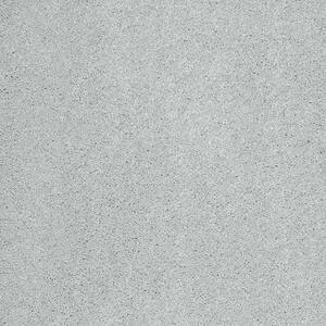 Lifeproof 8 in. x 8 in. Texture Carpet Sample - Coral Reef II - Color ...