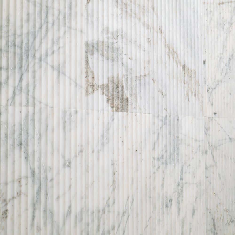 MSI Arabescato Venato Valentino Fluto 12 in. x 24 in. Honed Marble ...