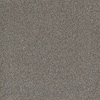 Home Decorators Collection 8 in. x 8 in. Texture Carpet Sample - Trendy ...