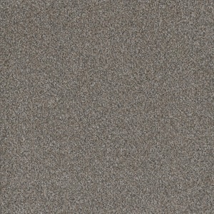 Home Decorators Collection 8 in. x 8 in. Texture Carpet Sample - Trendy ...