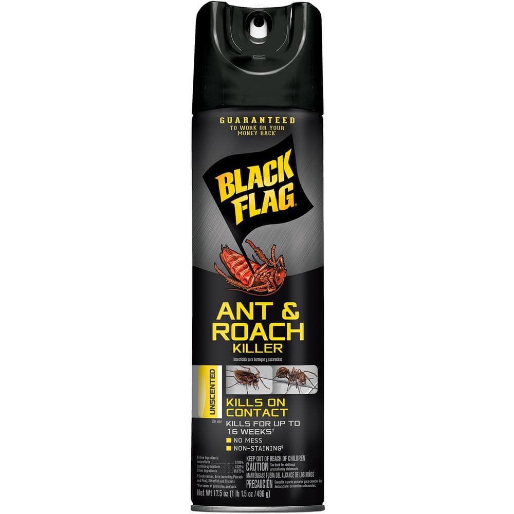 Black Flag 17.5 oz. Ant and Roach Killer Aerosol Unscented Spray HG ...