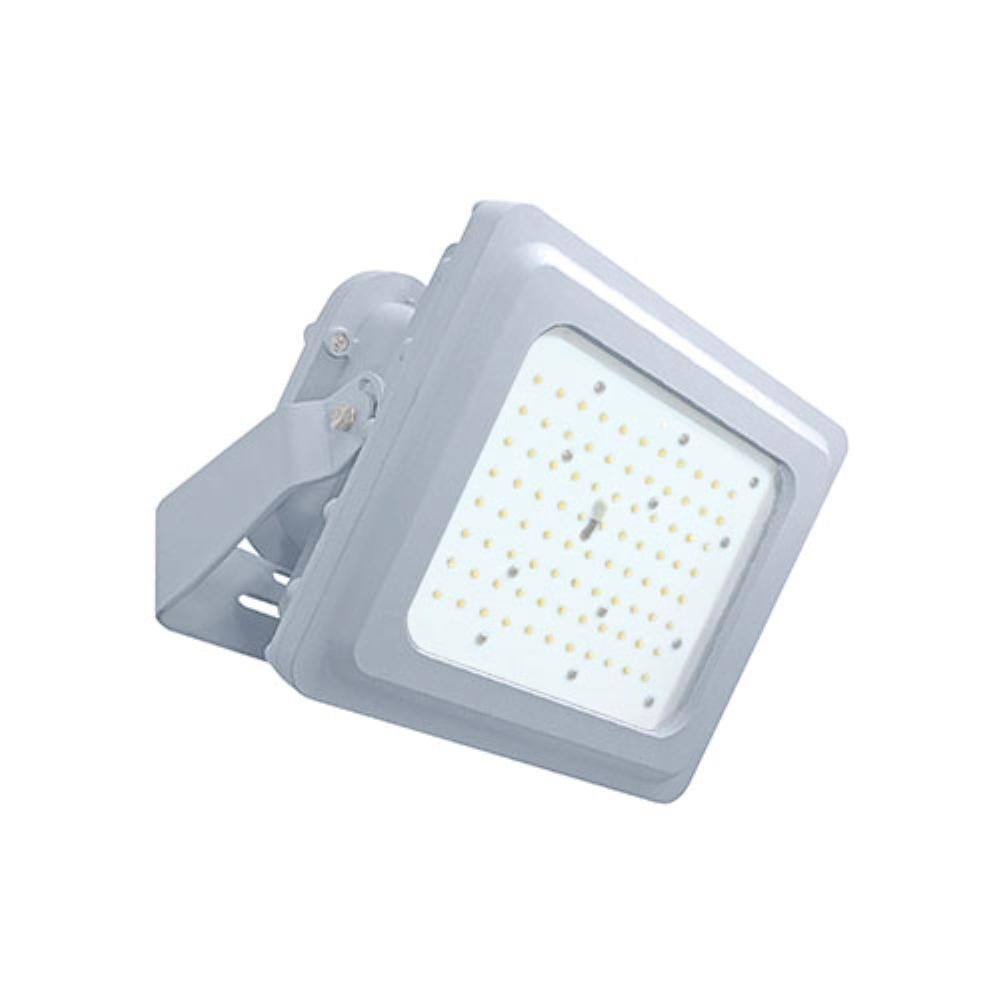 Solas Ray Trooper 140-Watt Equivalent Integrated LED Gray Hazardous ...