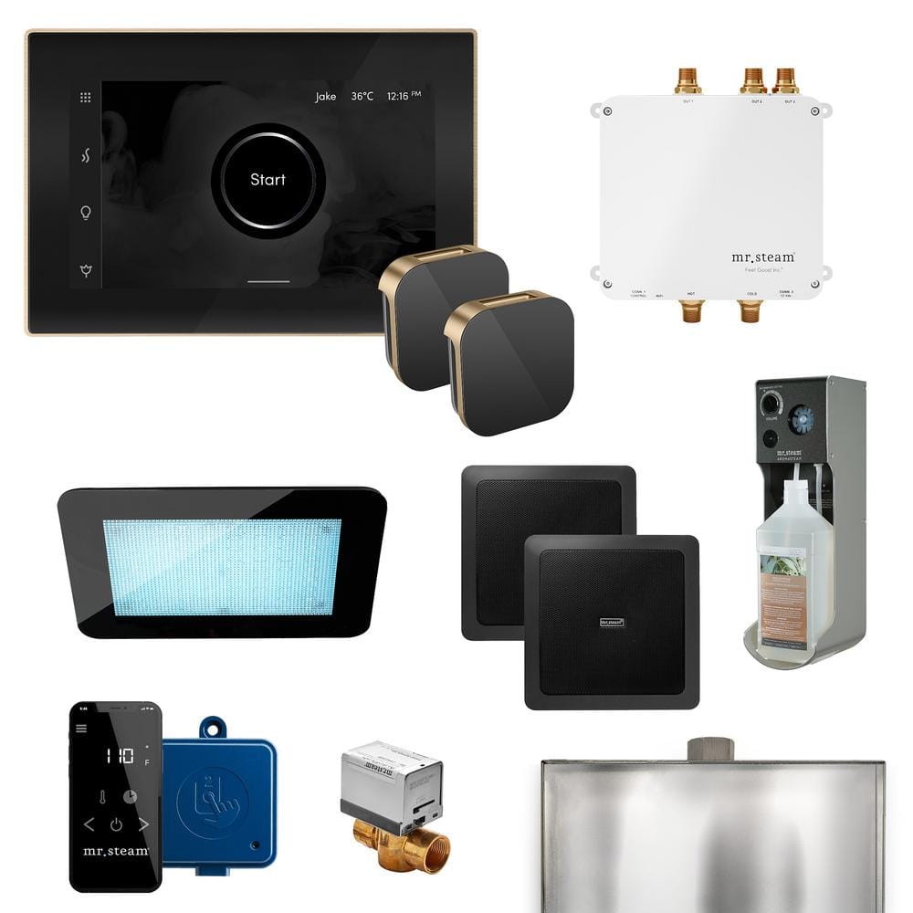 Mr. Steam Bliss Max Steam Generator Control Kit with iSteamX Control ...