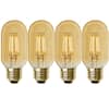 Feit Electric 40-Watt Equivalent T14 Dimmable Straight Filament Amber Glass E26 Vintage Edison ...