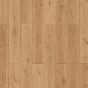 Home Decorators Collection Take Home Sample - Sweetwater Oak Laminate ...