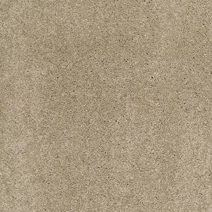 Lifeproof 8 in. x 8 in. Texture Carpet Sample - Coral Reef II - Color ...