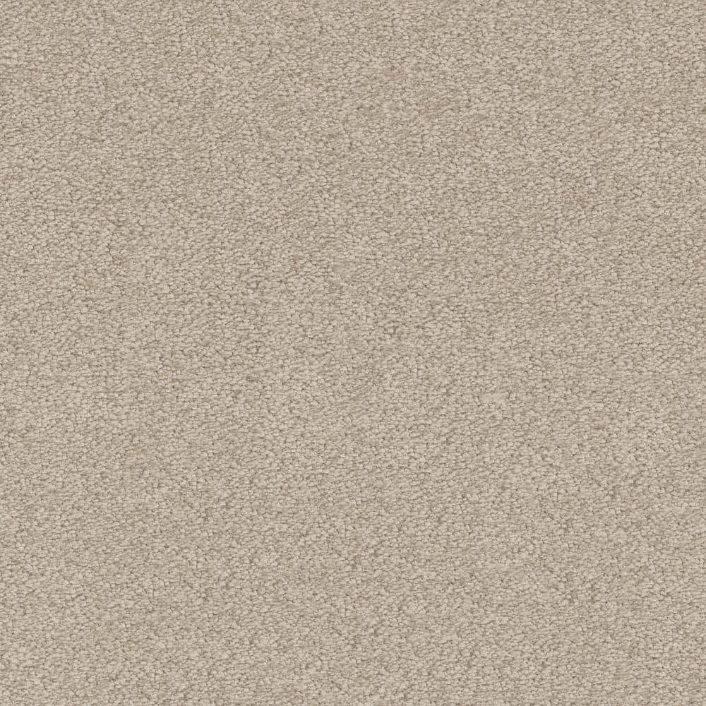 Home Decorators Collection 8 in. x 8 in. Texture Carpet Sample ...