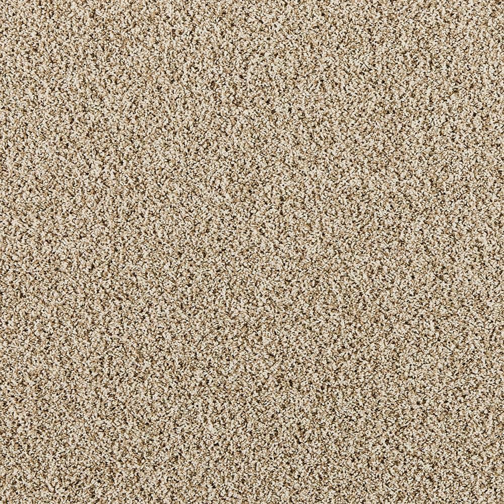 Home Decorators Collection Radiant Retreat I Sandy Beige- Beige 47 oz. Polyester Textured ...