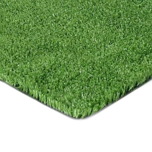 LITA Multipurpose Pet Turf 10 ft. W x Cut to Length Green Artificial ...