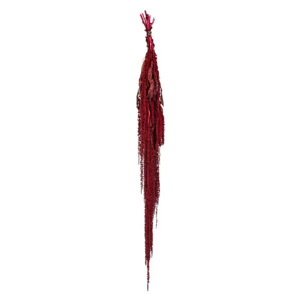 Vickerman 30 in. Merlot Red Indoor Preserved Amaranthus Leaf Flower ...