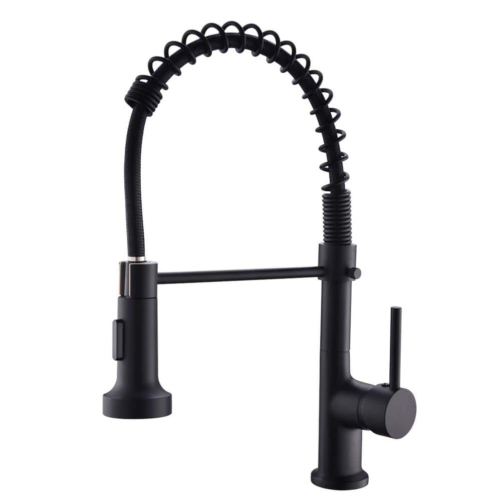 Flynama Single Hole Single-Handle Pull-Down Sprayer Kitchen Faucet with ...