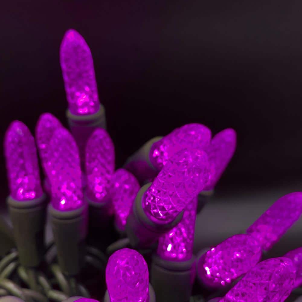 HOLIDYNAMICS HOLIDAY LIGHTING SOLUTIONS Pink M8 LED Lights with 4 in ...