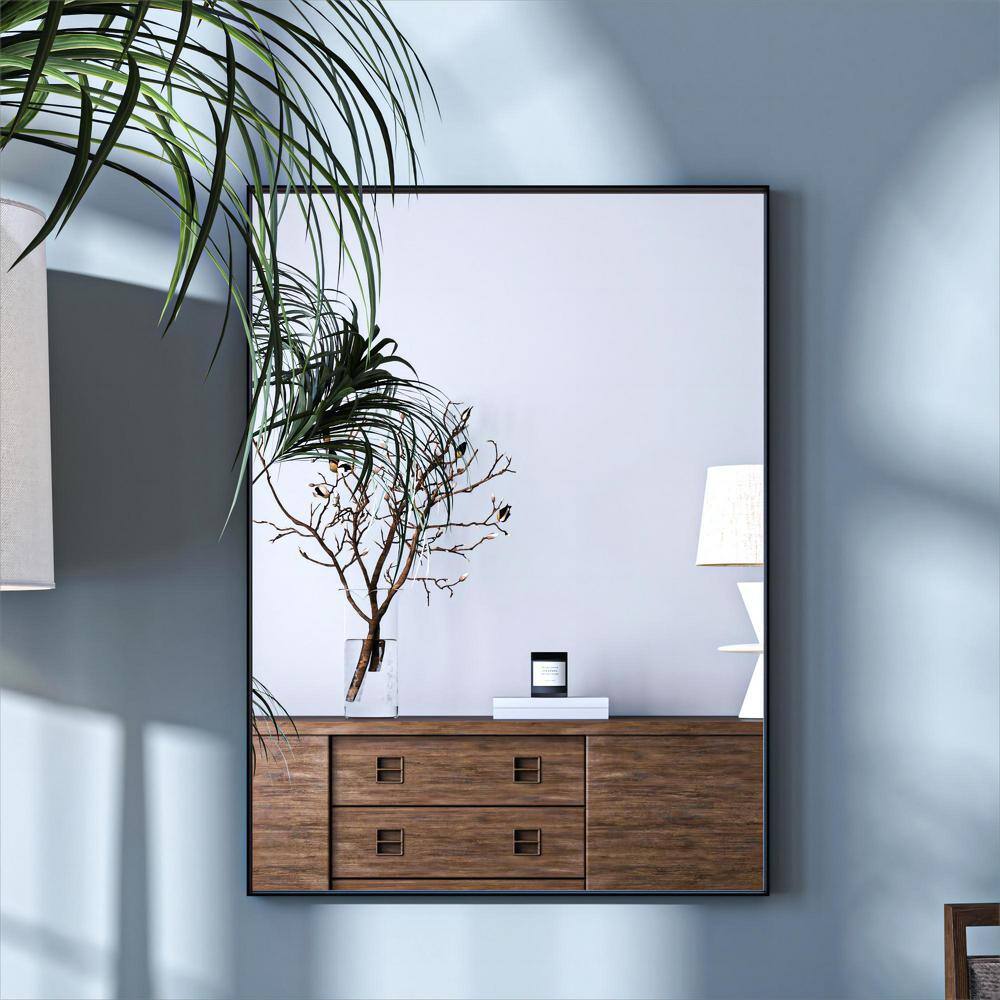 ORGANNICE 22 in. W x 30 in. H Black Rectangle Framed Tempered Glass ...