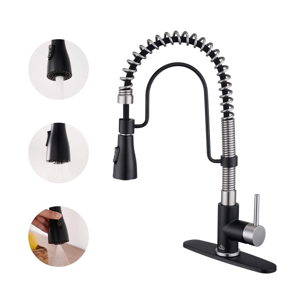 CASAINC Single-Handle Pull Down Sprayer Kitchen Faucet with Advanced 3 ...