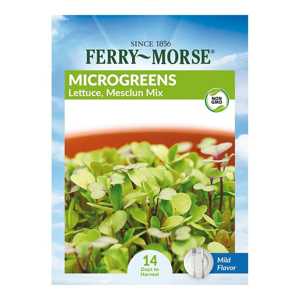 Ferry-Morse Lettuce Mesclun Mix Micro-greens Vegetable Seeds 2841 - The ...