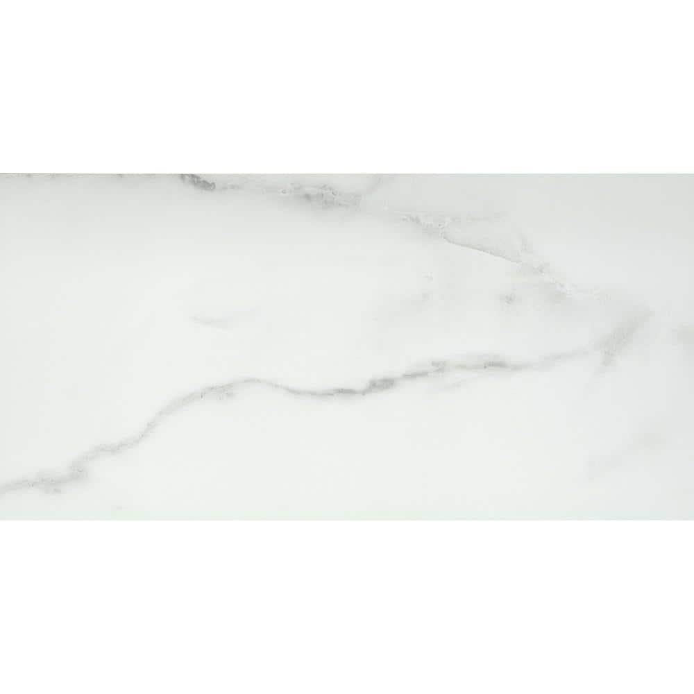 EMSER TILE Vis Conde Silver 12 in. x 24 in. Polished Porcelain Floor ...