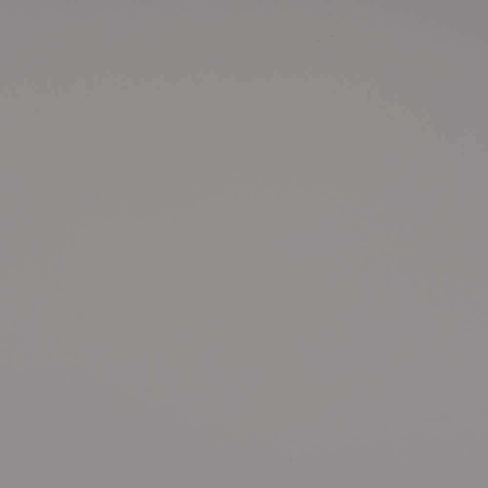 FENIX NTM 4 ft. x 8 ft. Laminate Sheet in Grigio Efeso J0725JLFN408301 ...