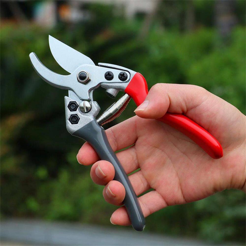 Dyiom 7.5 in. Garden Shears Professional Hand Pruner B08791GRL3 - The ...