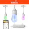 Hampton Bay Smart White 24-Light 48 ft. Indoor/Outdoor Plug-in ...