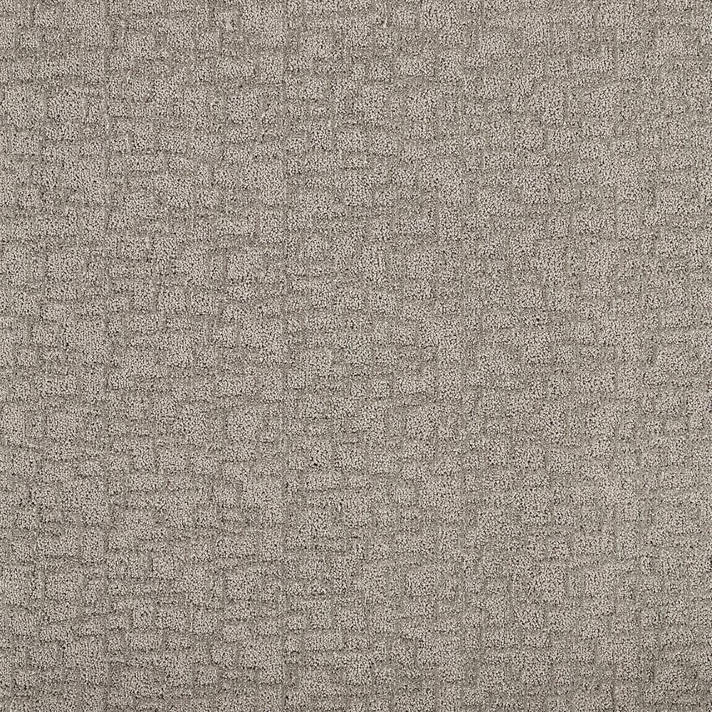 Lifeproof 8 in. x 8 in. Pattern Carpet Sample-Painted Picture-Color ...