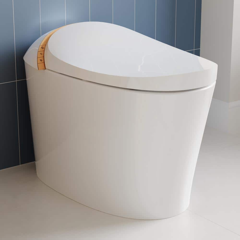 DEERVALLEY Tankless Elongated Smart Toilet Bidet 1.1/1.45 GPF in White ...