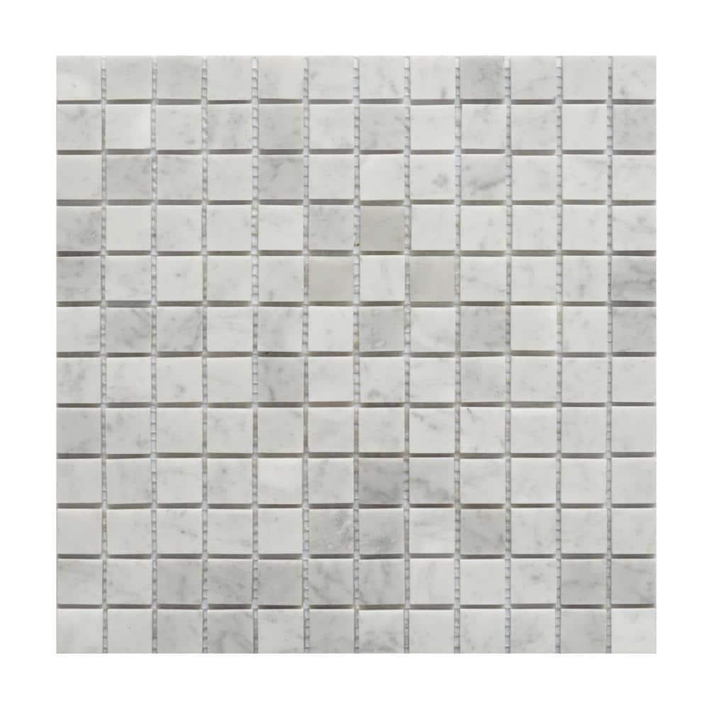 Roca Rockart Carrara Marble Polished 12 in. x 12 in. Square 1 in ...