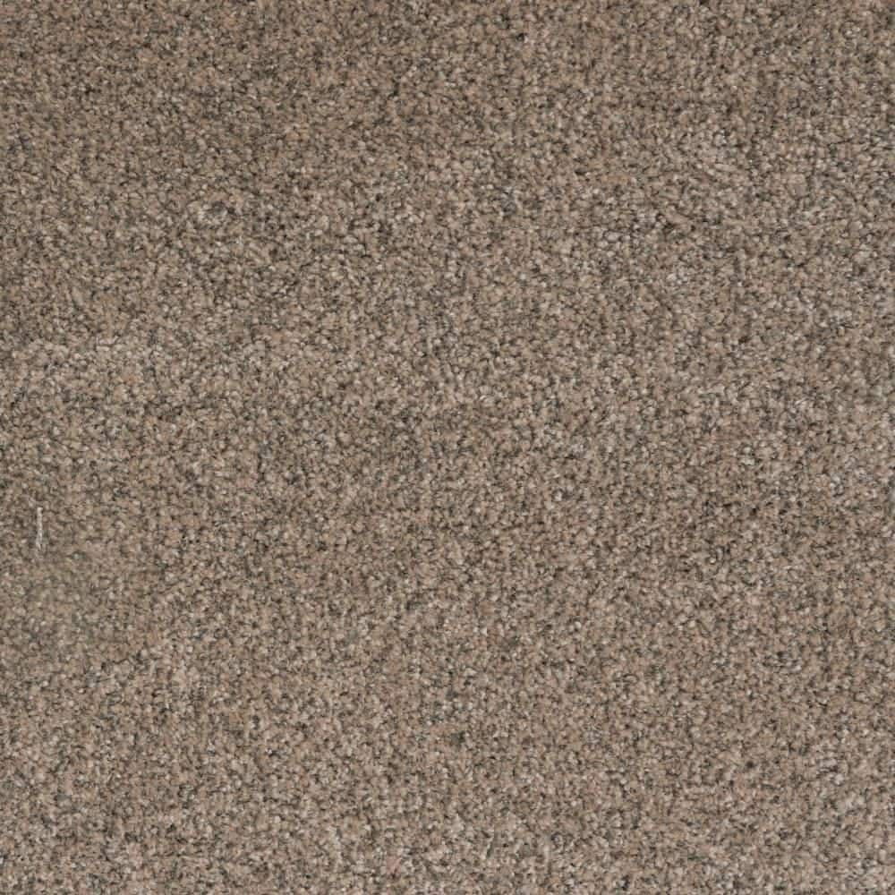 Lifeproof with Petproof Technology 8 in. x 8 in. Texture Carpet Sample ...