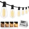 WYZM 25-Light 50 ft. Outdoor Plug-in ST38 Bulb 2700K LED String-Light ...