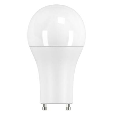Viva Light Bulbs Pbcfs1370 | Shelly Lighting