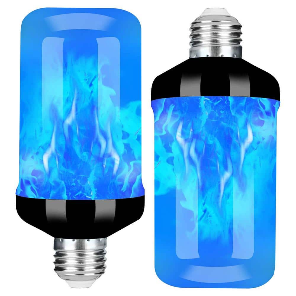 Vrbgify 25-Watt Equivalent F20 E26 Flame LED Light Bulb with Upside ...