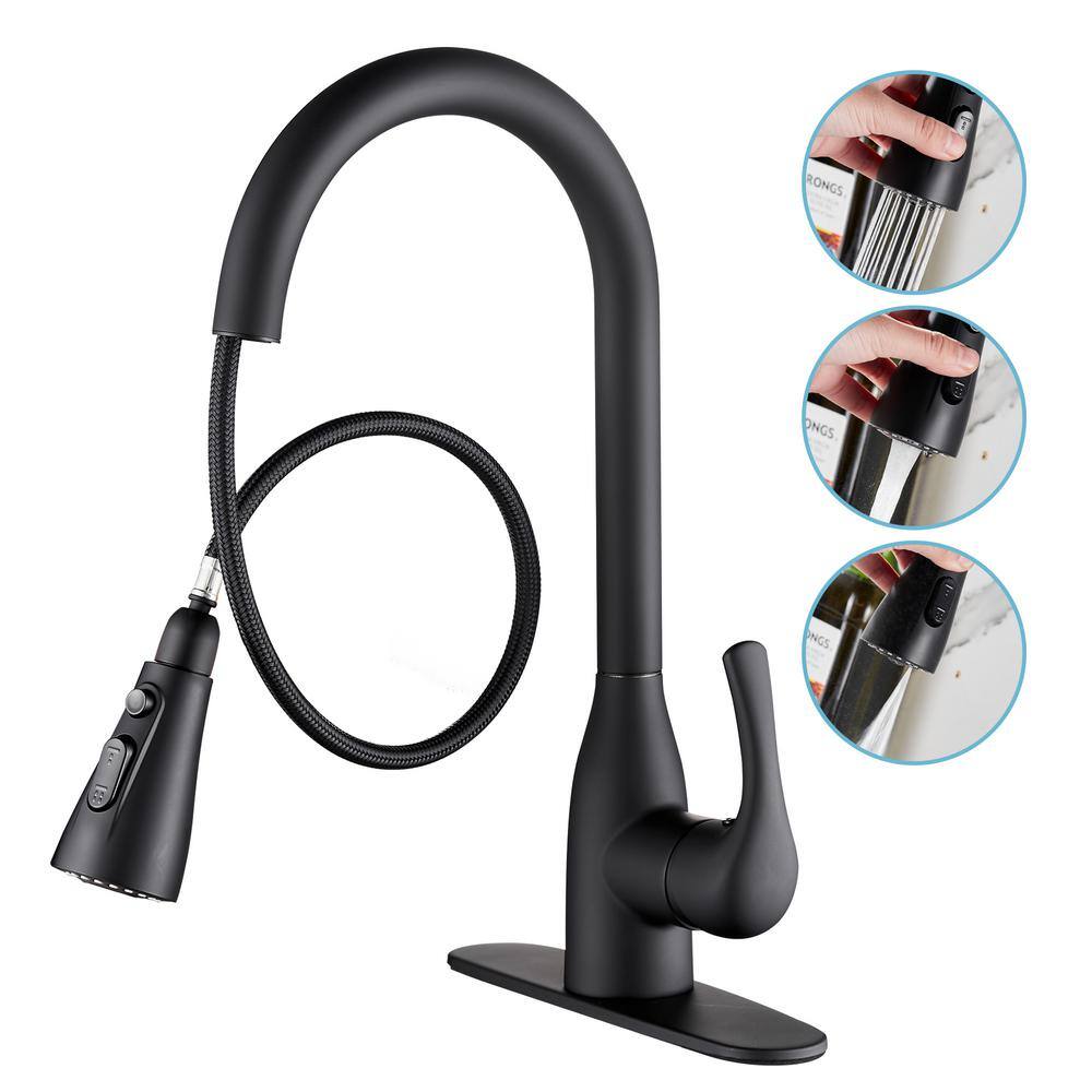 Heemli Gooseneck Single-Handle Pull Down Sprayer Kitchen Faucet with ...