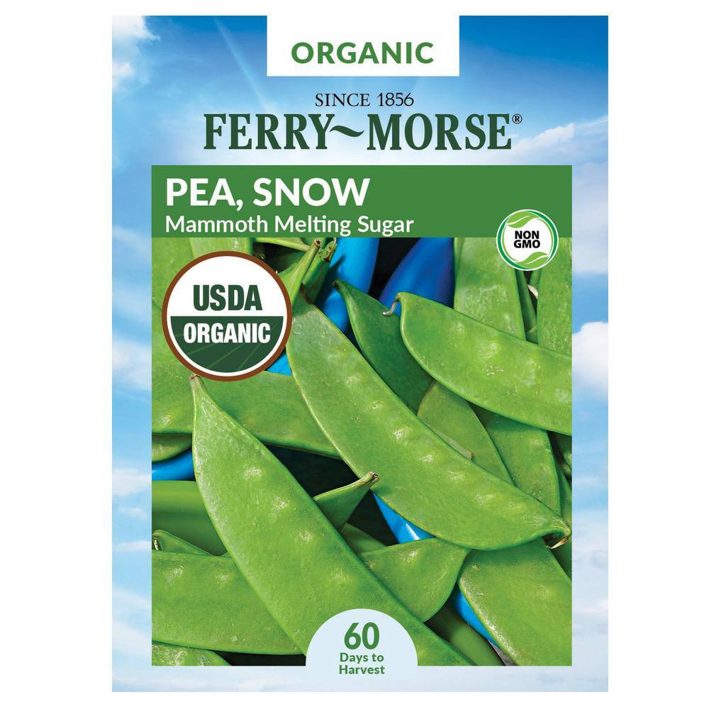 Ferry-Morse Organic Pea Mammoth Melting Sugar Fruit Seed 0902 - The ...