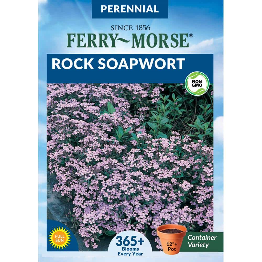 Ferry-Morse Rock Soapwort Flower Seed 2053 - The Home Depot