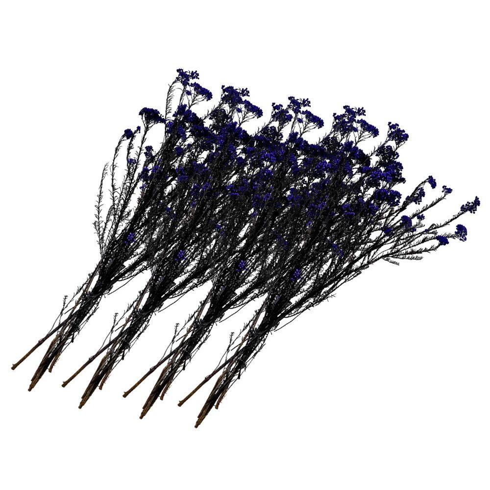 castellousa 24 in. Purple Indoor Non Artificial Dried Preserved Millet ...