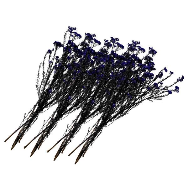 castellousa 24 in. Purple Indoor Non Artificial Dried Preserved Millet ...
