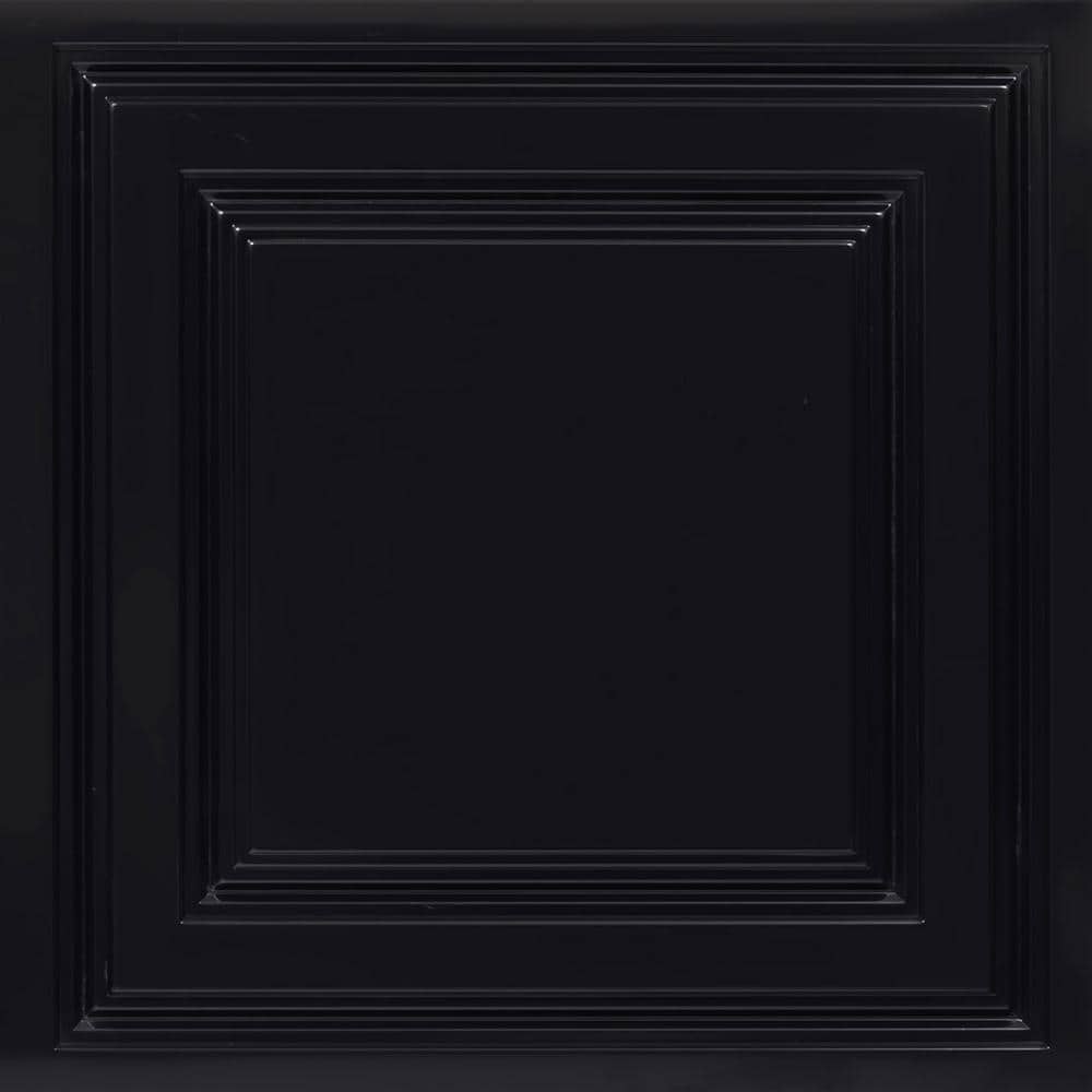 FROM PLAIN TO BEAUTIFUL IN HOURS Economy Black Glossy 2 ft. x 2 ft. PVC ...