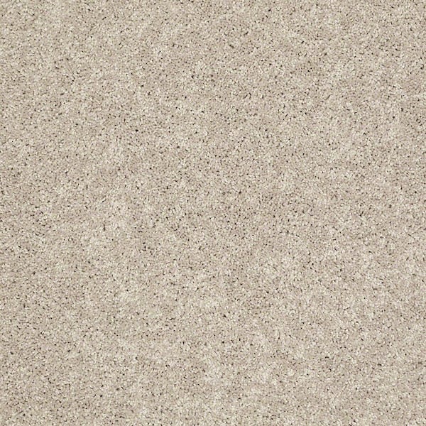 TrafficMaster 8 in. x 8 in. Texture Carpet Sample - Palmdale II - Color ...