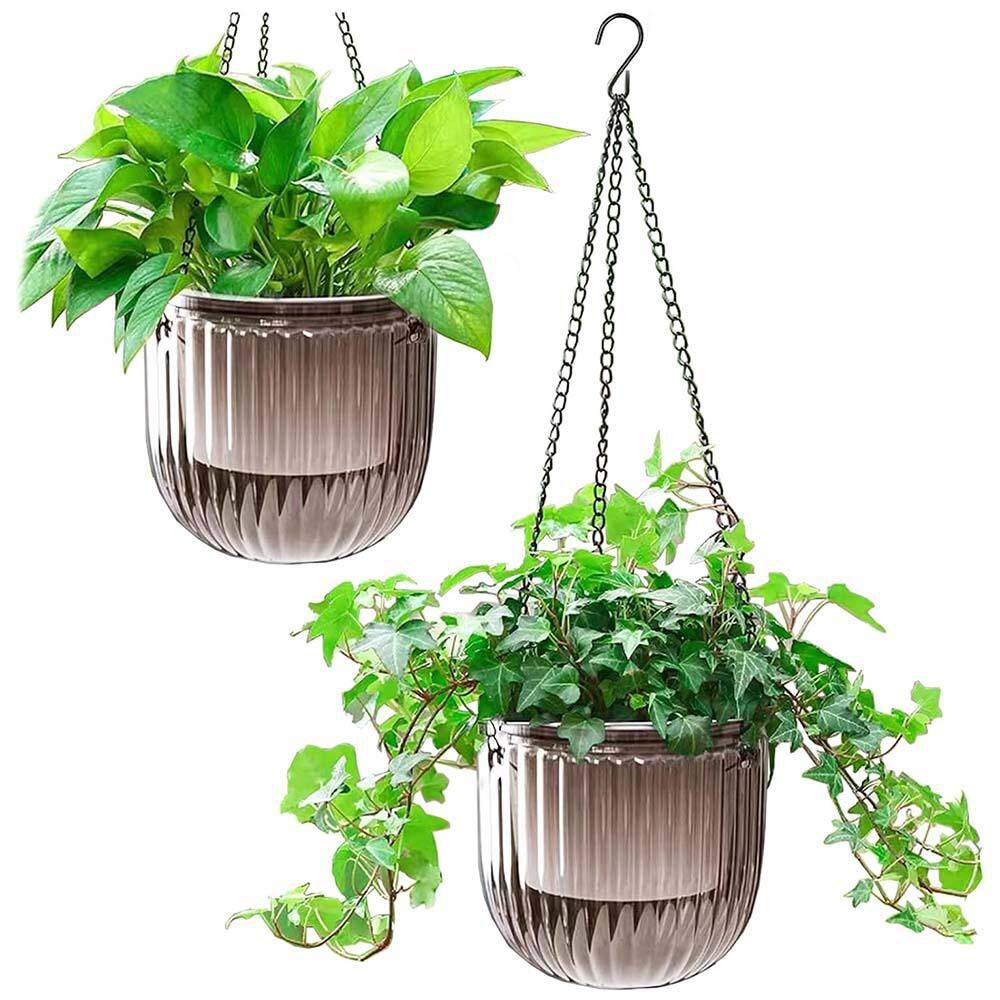 Home Depot Hanging Plants
