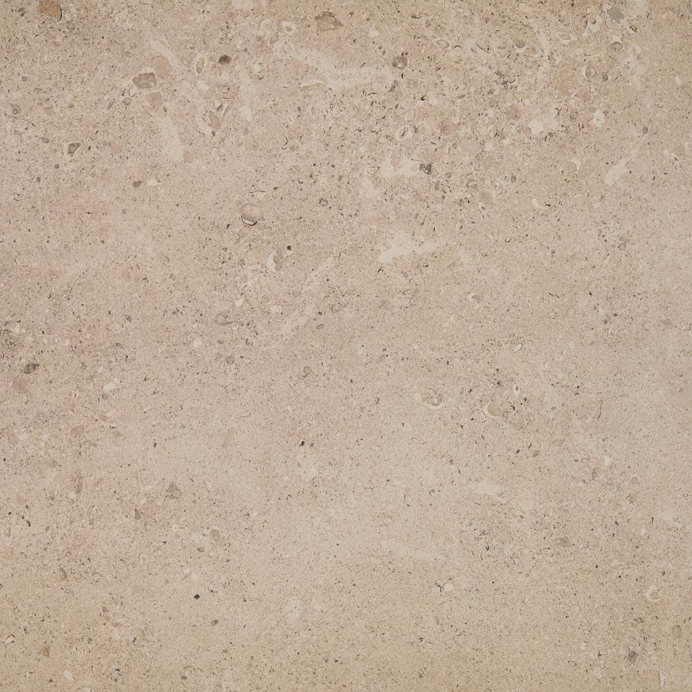 Daltile Dignitary Notable Beige 24 in. x 24 in. Color Body Porcelain ...