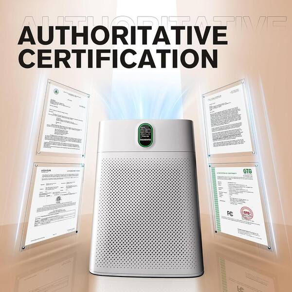 Air purifier 2.5 pm store