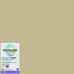 Custom Building Products Polyblend #380 Haystack 10 lb. Non-Sanded ...